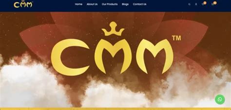 Ecommerce Website Designing Development At 30000 Project In New Delhi