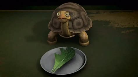 Facts About Slash Teenage Mutant Ninja Turtles Fan Site