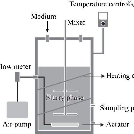 Schematic Of A 1 L Batch Reactor Operated In This Experiment Download Scientific Diagram