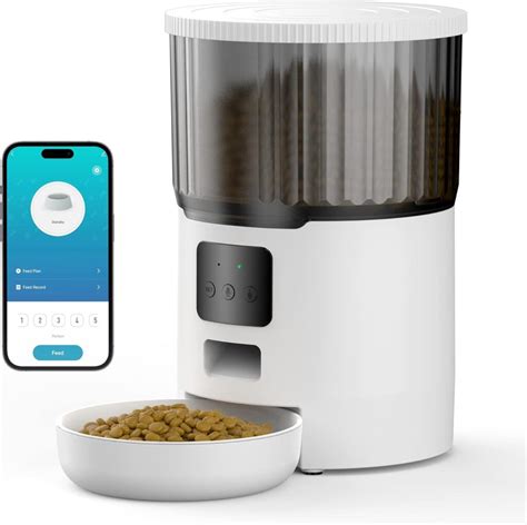 ¿cuál Es El Mejor Dispensador De Comida Para Gatos Descúbrelo Aquí
