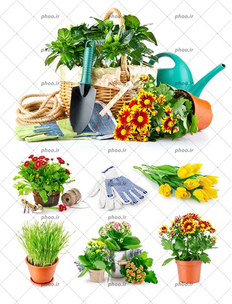عکس مجموعه ای از گلدان های گل و ابزار های باغبانی در پس زمینه سفید
