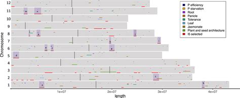 Vietnamese Qtls And Their Overlap With Selected Regions In The I5 Download Scientific Diagram