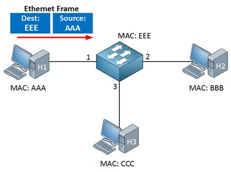 Introduction To Ethernet Lessons Discussion NetworkLessons Com Community Forum