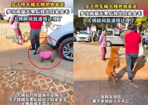遛狗不牽繩還擋路 女子開車門！陸大媽「慫了」 社會 中時新聞網