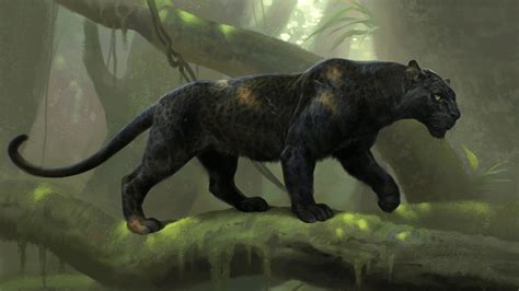 Black Panther 4k Wallpaper Animal