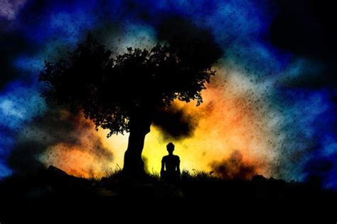 Girl Sit Under Tree Silhouette At Sunset Graphic By AnnArtshock