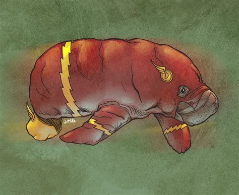 super manatee and friends boing boing