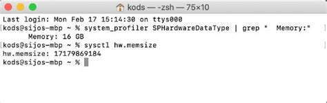 How To Check Ram On Mac Mashtips