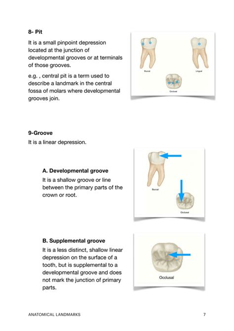 Handout Lecture 3pdf Dental Health Diseases And Conditions