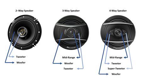 Difference Between Midbass Speakers And Subwoofer At William Everhart Blog