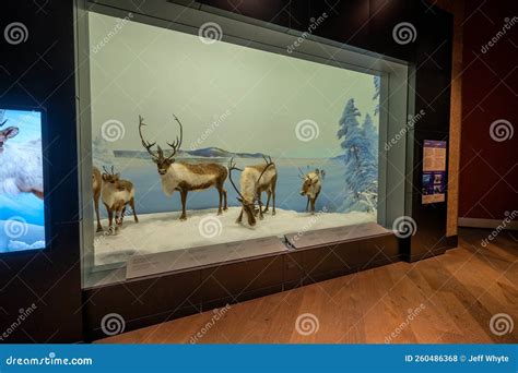 Canadian Museum Of Nature Ottawa Editorial Stock Photo Image Of