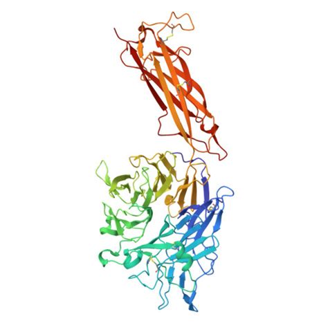 Rcsb Pdb 9czd Crystal Structure Of Integrin Avb6 Headpiece In Complex With Compound 30