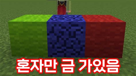 버그를 이용한 금 간 블럭 맞추기마인크래프트 Youtube