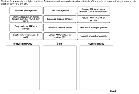 Electron Flow Varies In The Light Reactions Categorize Each