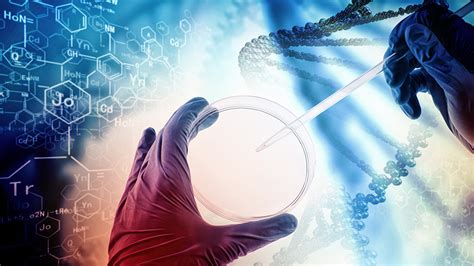 Científicos Crean Cromosoma Humano Artificial Que Busca Curar