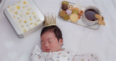 彌月蛋糕推薦拓樸本然彌月禮盒 食材天然又美味 常溫運送磅蛋糕 送子鳥鐵盒餅乾 C妞日記Claire s Diary