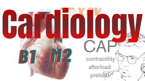 Usmle Cardiology Physiology The Cap System Youtube