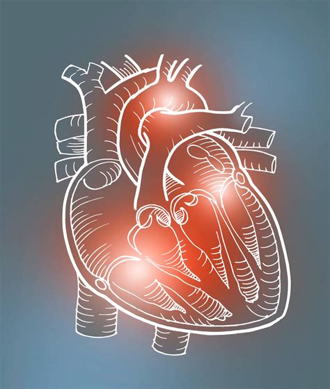 AI Predicts If And When Someone Will Experience Cardiac Arrest Hub