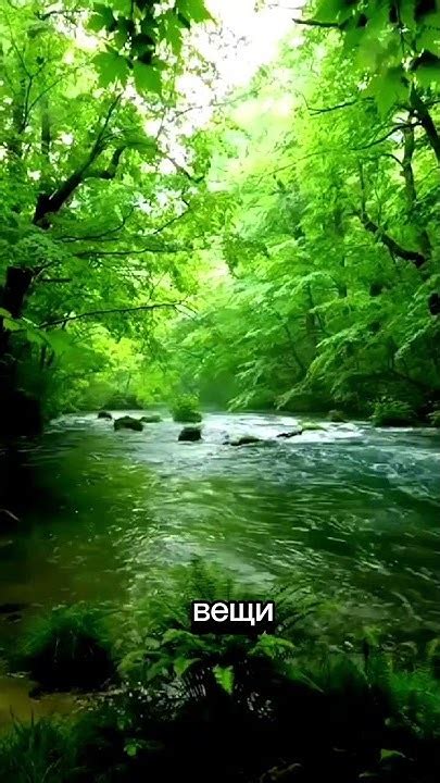 Притча Девушка и печенье Youtube