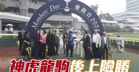 馬場密探048神虎龍駒後上險勝 星島日報