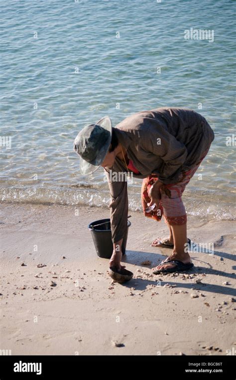 Lady Collecting Worms For Fishing Bait On A Beach In Thailand Stock