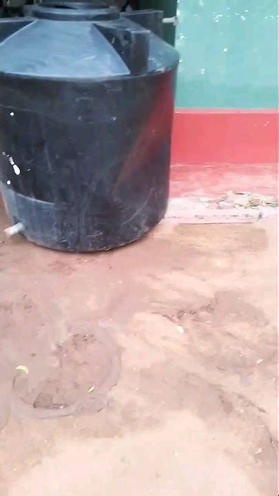 ජලය සොයා ආ අලි කල දේ Youtube