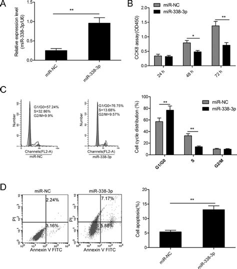 Mir 338 3p Inhibits Cell Proliferation And Cell Cycle Progression And