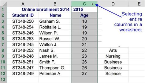 Article Why Wont My Excel Sheet Scroll Worksheets Curriculum