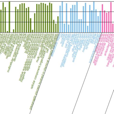 Kog Classification Of Unigenes From A Fasciatus The X Axis Shows The