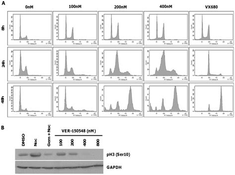 Ver 150548 Induces Polyploidy And Inhibits Histone H3 Ser10