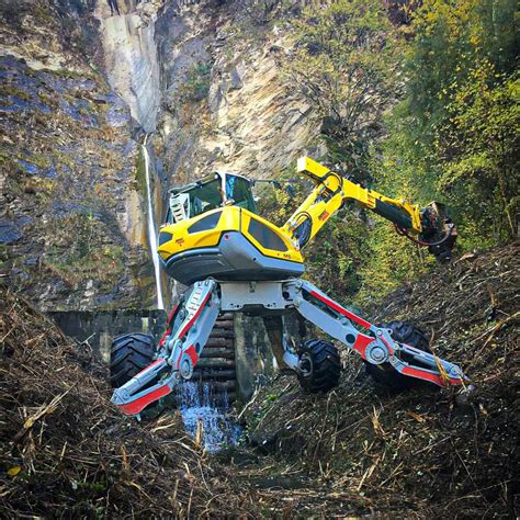 Video The Mesmerizing Motion Of Walking Spider Excavators