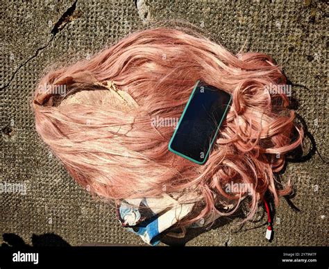 The Hairstyle Of A Human Being Hairs On The Head Hairstyle Of A Human
