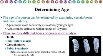 Forensic Anthropolgy PPT Notes For Forensics TPT