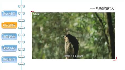 初中人教版 新课标第四节 鸟的生殖和发育授课课件ppt 教习网课件下载