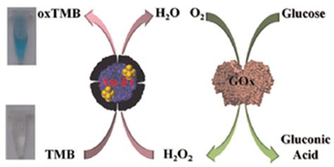 Catalysts Free Full Text Gold Nanozymes Smart Hybrids With Outstanding Applications