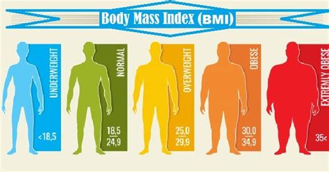 What Is Body Mass Index BMI And How To Calculate Your BMI The Scientific World Let S Have