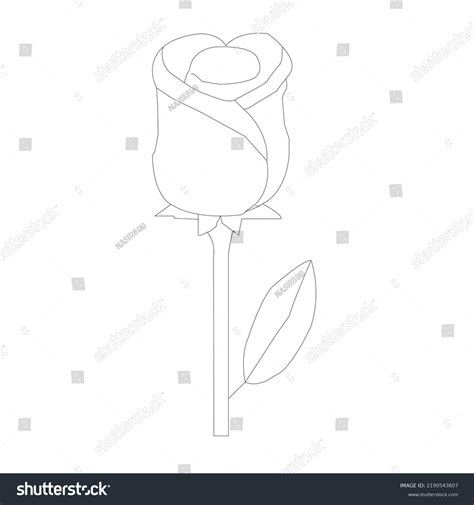 Flower Line Art Minimalist Contour Drawing Stock Vector Royalty Free