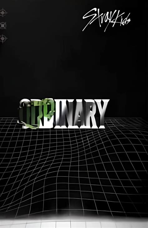 Skz Oddinary Reverse