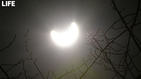 Лайф публикует видео солнечного затмения глазами жителей Москвы и области