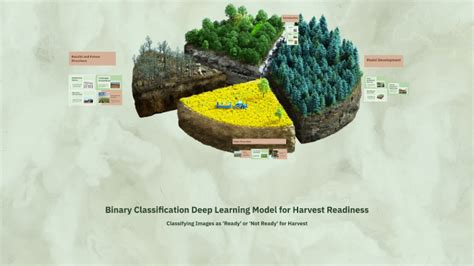 Binary Classification Deep Learning Model For Harvest Readiness By