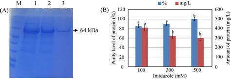 Protein Fractions After Chromatography On Ni Nta Affinity Download