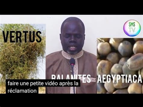 Vertus Du Balanites Aegyptiaca SOUMP Par Pr Ousmane Ndiaye YouTube