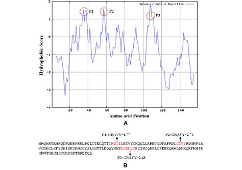 A Protscale Profile Of The Hpv E6 Protein P1 P2