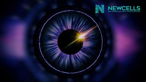 Generation And Characterization Of Retinal Organoids From Ipscs