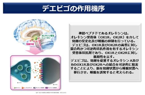 次世代睡眠薬の特徴 佐藤病院（精神科・内科）