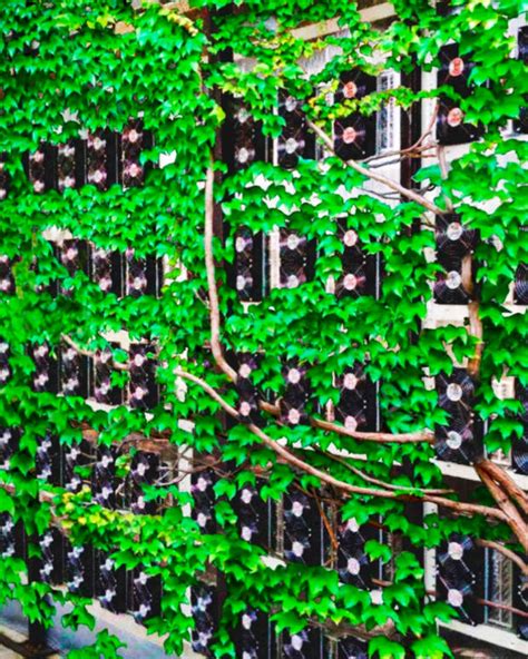 Bitcoin Energy Use Vs Other I Bitcoin Magazine Bitcoin News