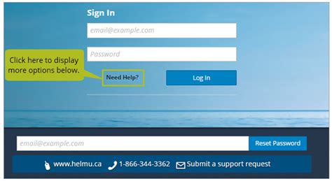 How Do I Reset My Password Helm Operations