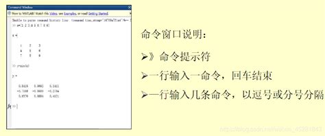 使用matlab进行数字图像处理 利用imrotate 函数 分别设置参数为nearest、bilinear、bicubic实现图 csdn博客
