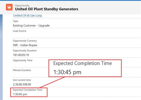 Salesforce Timenow Function