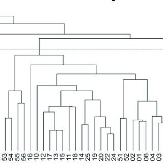 Clustering Tree By Average Group Linkage Method Download Scientific Diagram